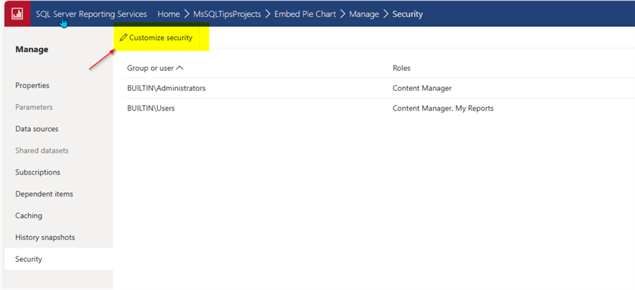 Sql Server Reporting Services Security 
