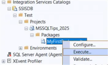 SSIS 2025: Tips for a Seamless Upgrade