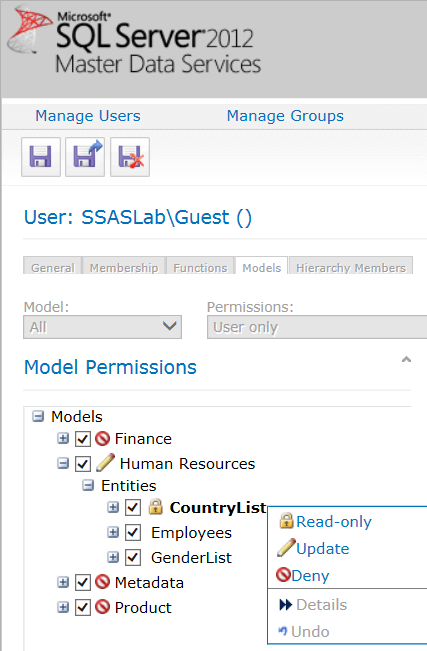 How to configure user permissions in SQL Server Master Data Services