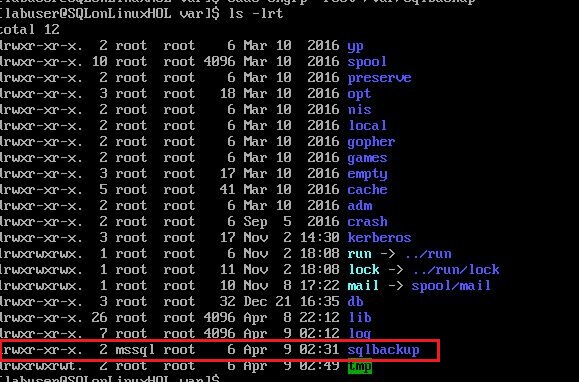 How to change default backup directory in SQL Server on Linux