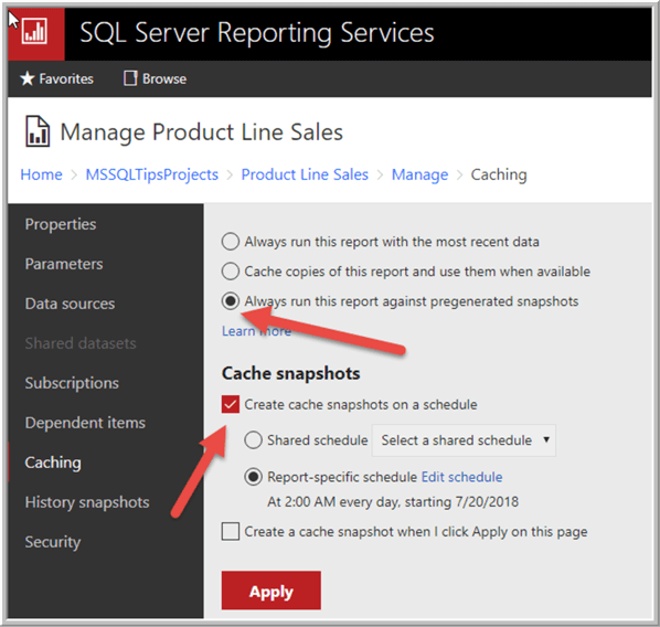 SSRS Caching and Snapshots