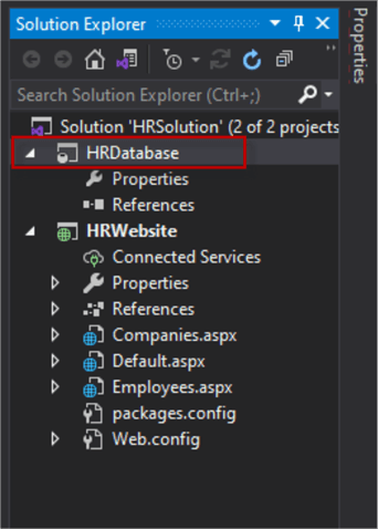 Database Projects in Visual Studio Solution
