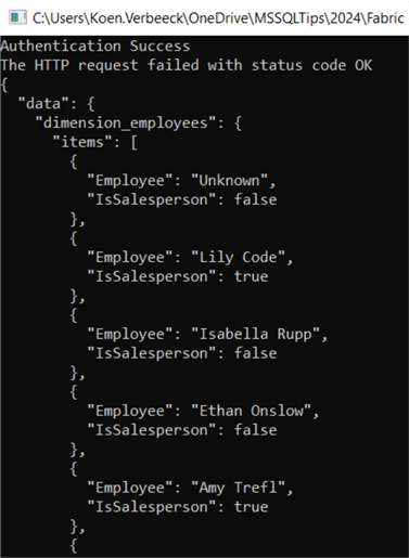 Query Microsoft Fabric Graphql Api From An External App